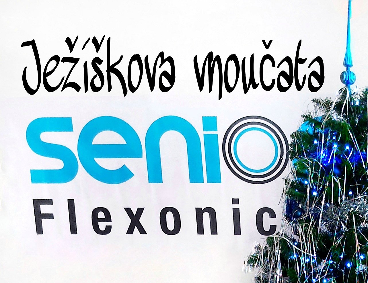 Senior Flexonics Czech s. r. o.